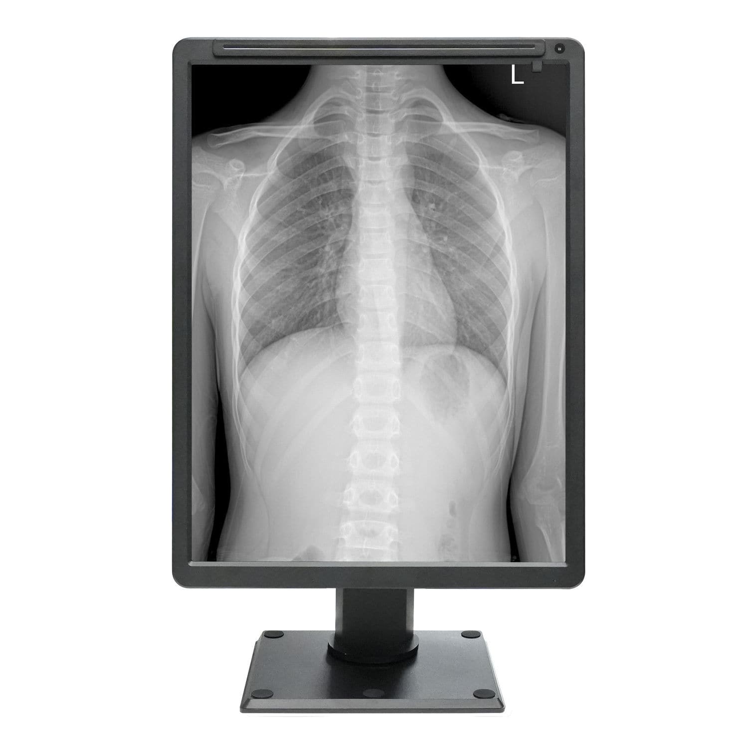 Medical display panel - MDC-G2201 - ZRT Technology - monochrome / 21.3 ...
