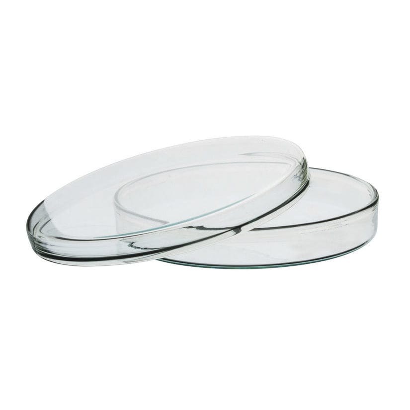 Laboratory weighing dish - CH0370D - EISCO Electronic Instrumentation