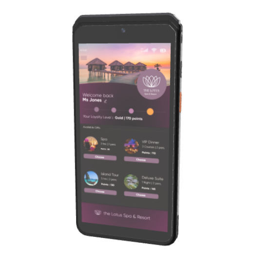 Mobile payment terminal - AXIUM EX8000 - Ingenico