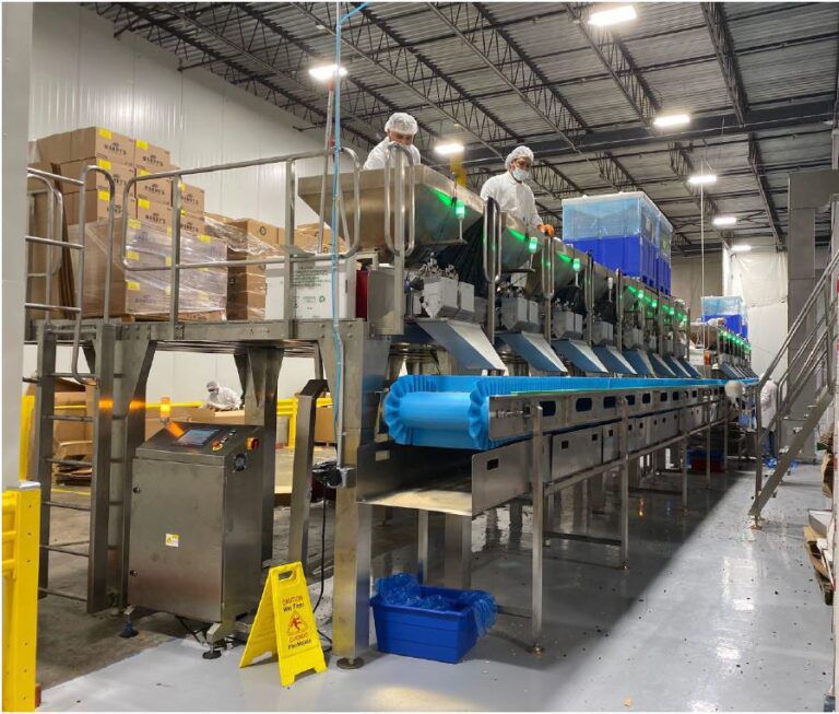 Mixing system - PACKPLUS-MX6 - SEVVALUSA Nut Processing and Packaging ...