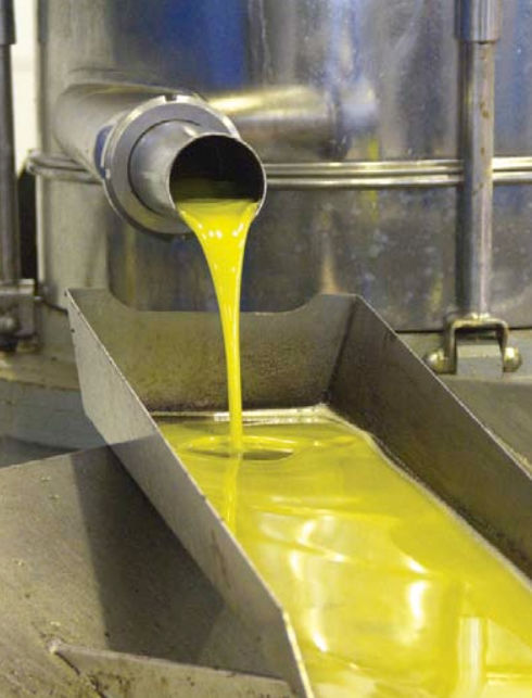 Floor cleaning product - STAR FOOD - Quimsa ITW - for stainless steel ...