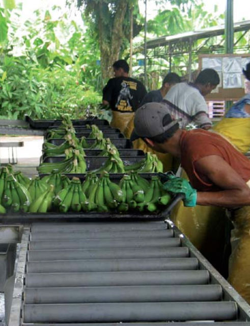 Lubricating grease - TF - Quimsa ITW - synthetic / PTFE / for ball bearings