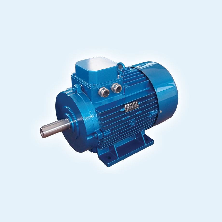 Asynchronous motor - IEC - KONČAR - MES Ltd. - three-phase / 400 V ...