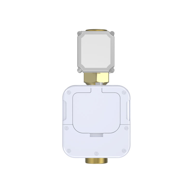 Ultrasonic flow meter - UWM-DN32/DN40-WG - Cubic Sensor and Instrument ...