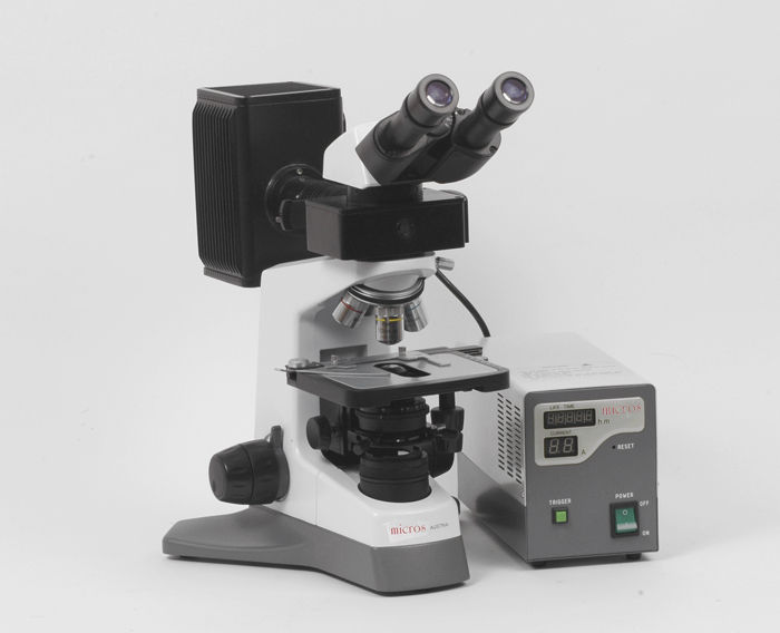 Laboratory microscope - Daffodil MCX100 - MICROS Produktions- & Handels ...