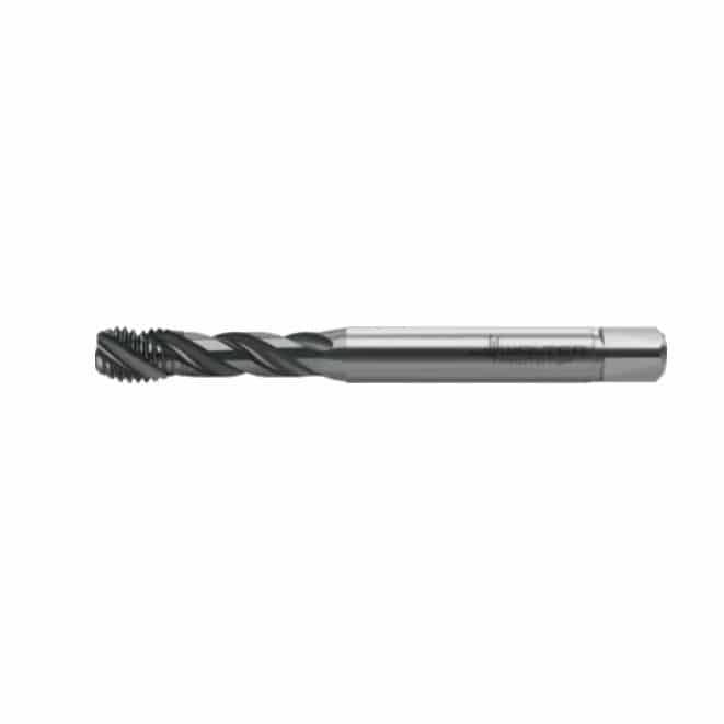 Blind hole tap - TC121-M series - Walter Tools - HSS-E