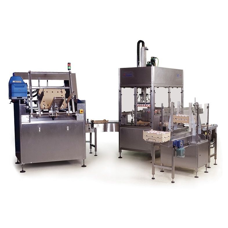 Pick-and-place case packer - MP series - LIAD Engineering Ltd. - automatic