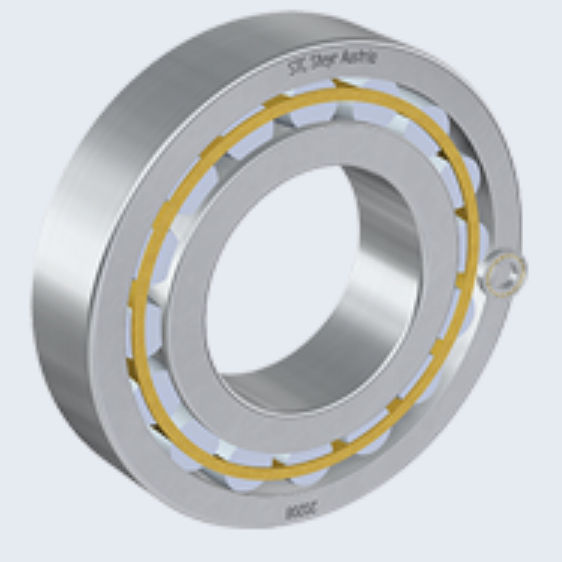 Cylindrical roller thrust bearing - 29 series - STC-Steyr Wälzlager ...