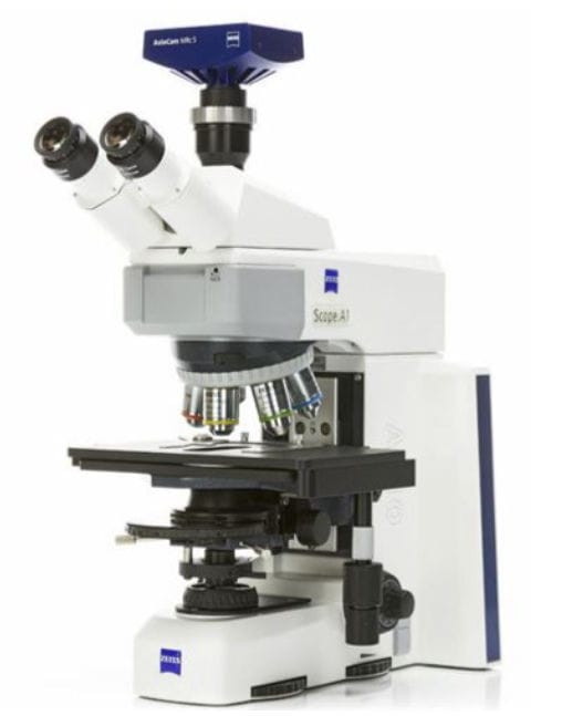 Optical microscope - AxioScope A1 - Hitech Instruments - laboratory ...
