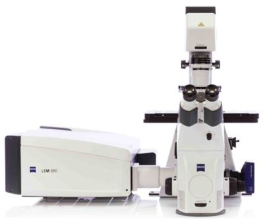 Compact imaging system - LSM 800 - Hitech Instruments