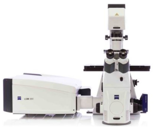 Imaging system - LSM 880 - Hitech Instruments