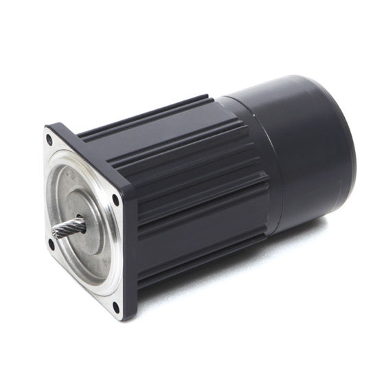Induction brake motor - E6R6 series - DAEHWA E/M CO.,LTD - single-phase ...