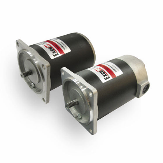 Brushed motor - D825 series - DAEHWA E/M CO.,LTD - DC / 24 V / 12 V