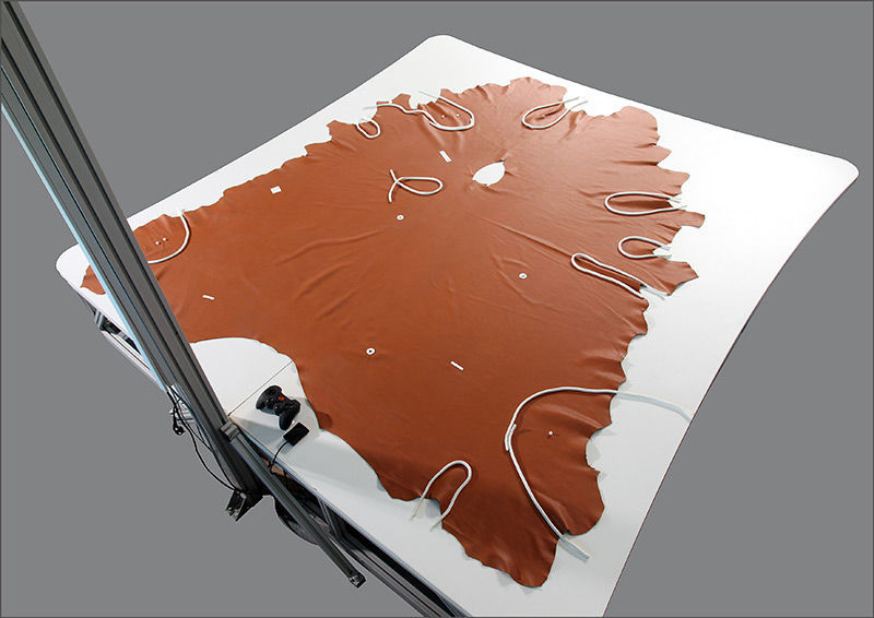 Leather hide scanning system - scan expert static table - Expert ...