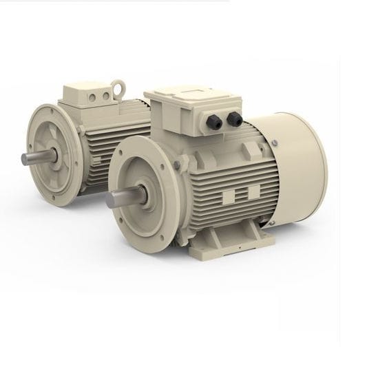 Induction motor - LUBI INDUSTRIES LLP - AC / IP55