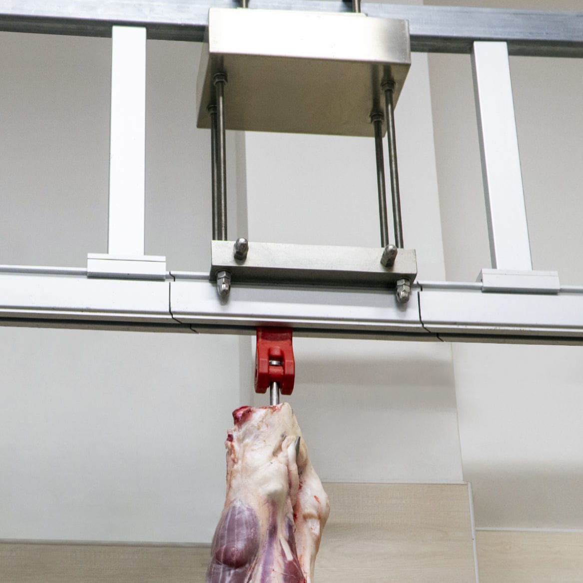 Electronic scale - I Bilanciai Srl - POS / multifunction / kilogram