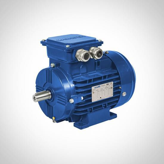 Asynchronous motor - ZWEA series - Fuzhou Wonder Electric Co.,Ltd. - AC ...
