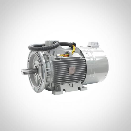 Synchronous motor - WSTK series - Fuzhou Wonder Electric Co.,Ltd. - 3 ...