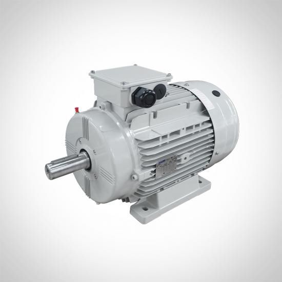 Synchronous motor - WSR Series - Fuzhou Wonder Electric Co.,Ltd. - AC ...