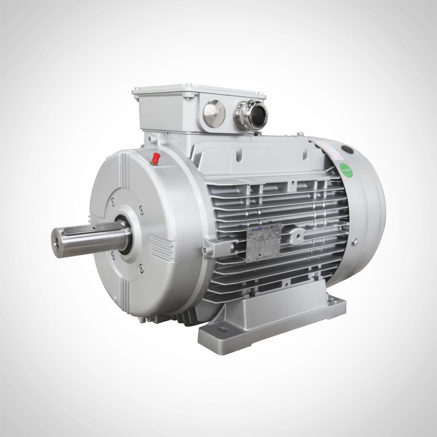 Induction motor - SEWA-132S-6-3KW - Fuzhou Wonder Electric Co.,Ltd ...