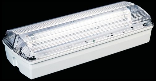 Emergency lighting - 8 W, IP65 | Novalite - Teknoware - LED / IP65 ...