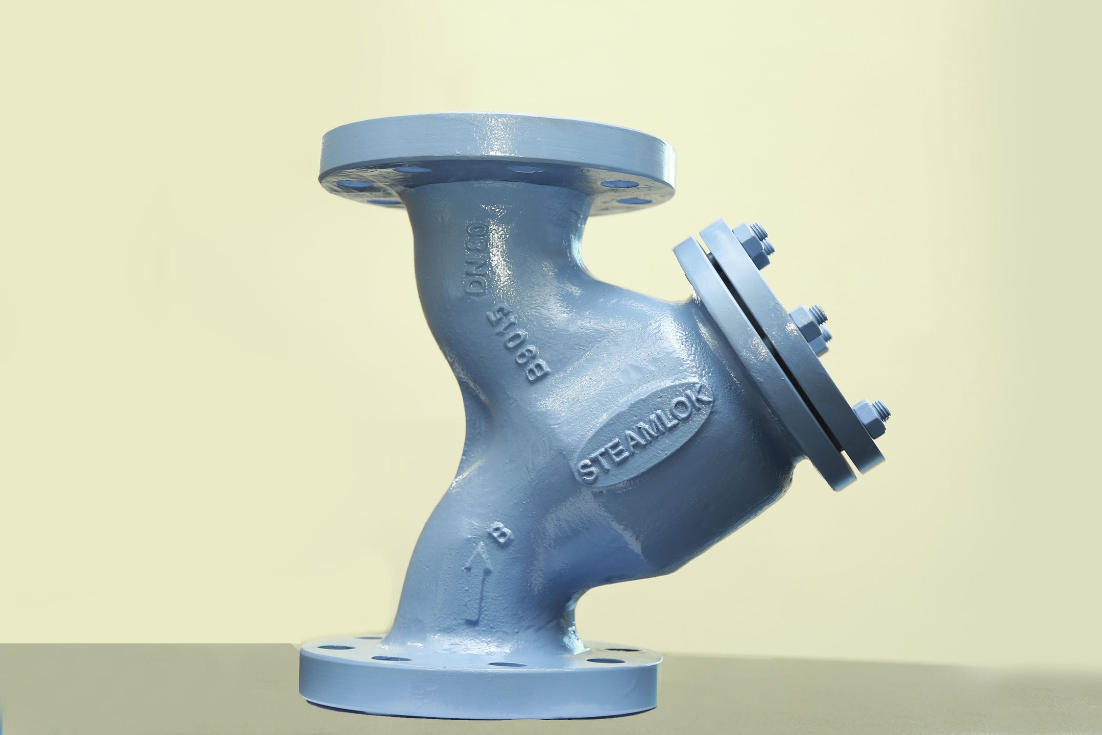 Strainer - SLSTR-25 - Steam Equipments