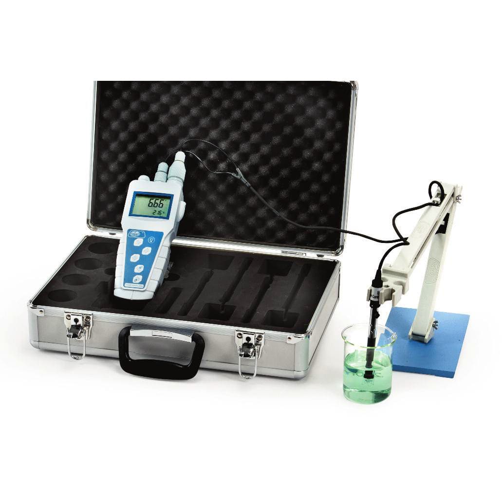 Portable pH meter - 2004 - J.P Selecta - laboratory / digital