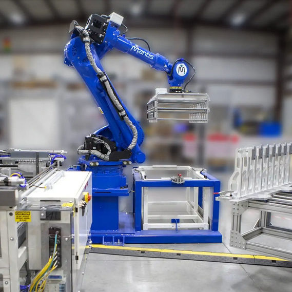 Articulated robot - NAS® Mantis™ - BMG - 6-axis / handling / floor-mounted