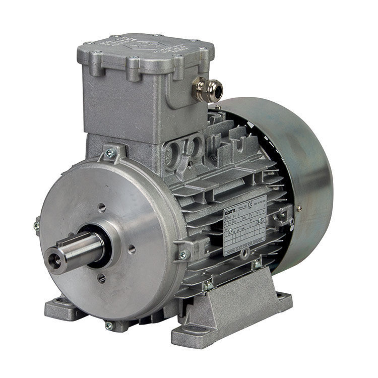 Asynchronous motor - OD MD-ADF - SERMES - AC / robust / ATEX