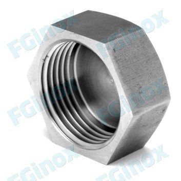 Hexagonal plug - BF100G - FG INOX - with hexagonal head / threaded / female