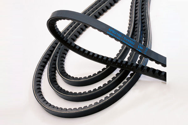 Raw edge belt - Tempo International - V / industrial / friction