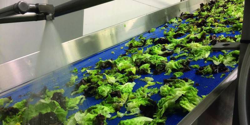 Polyurethane conveyor belt - REVEYRON - polyester / PVC / mesh