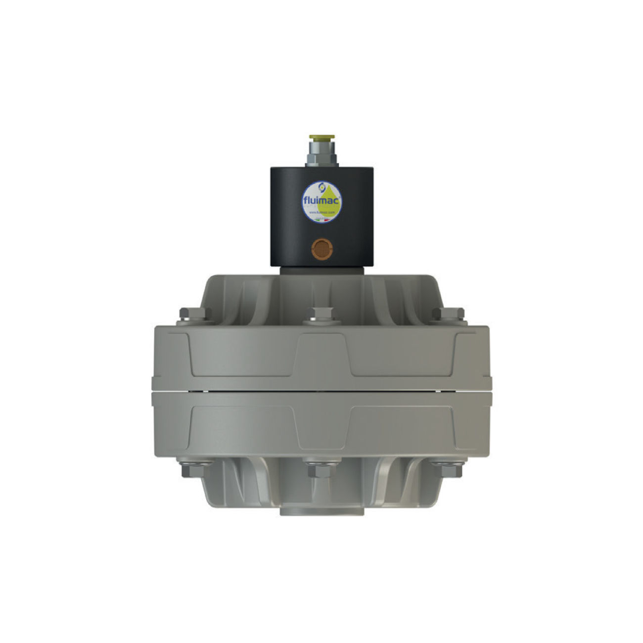 Diaphragm pulsation damper - DAMPER D25 - FLUIMAC - plastic / for pump