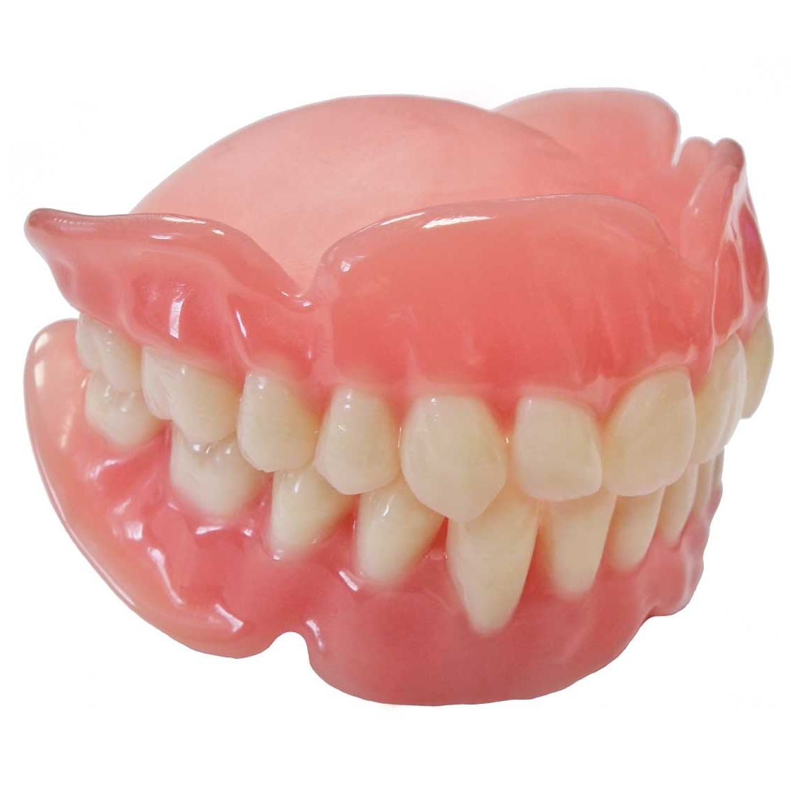 White 3D printing resin - NextDent Denture 3D+ - Envisiontec - dental
