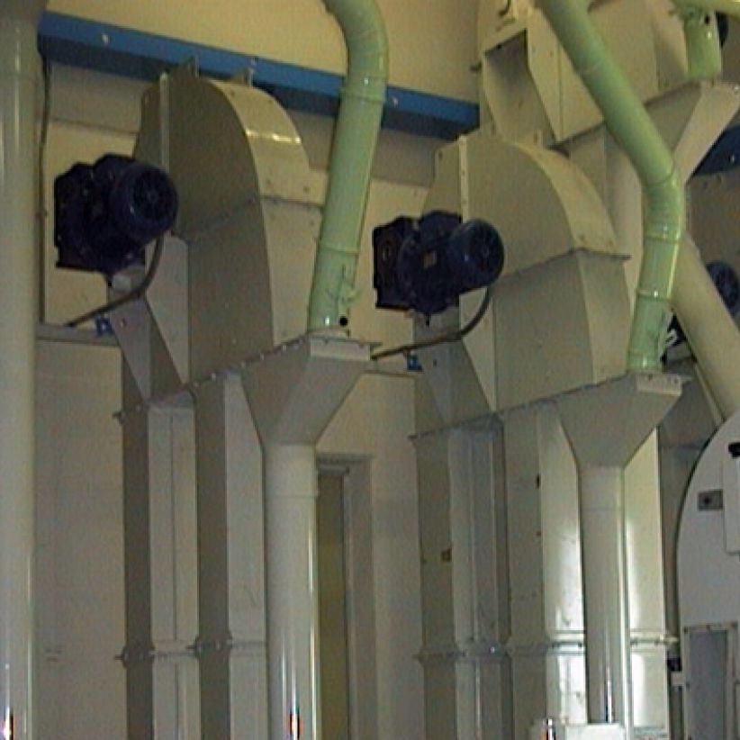 Automatic bucket elevator - ET - Defino & Giancaspro - electric / conveying