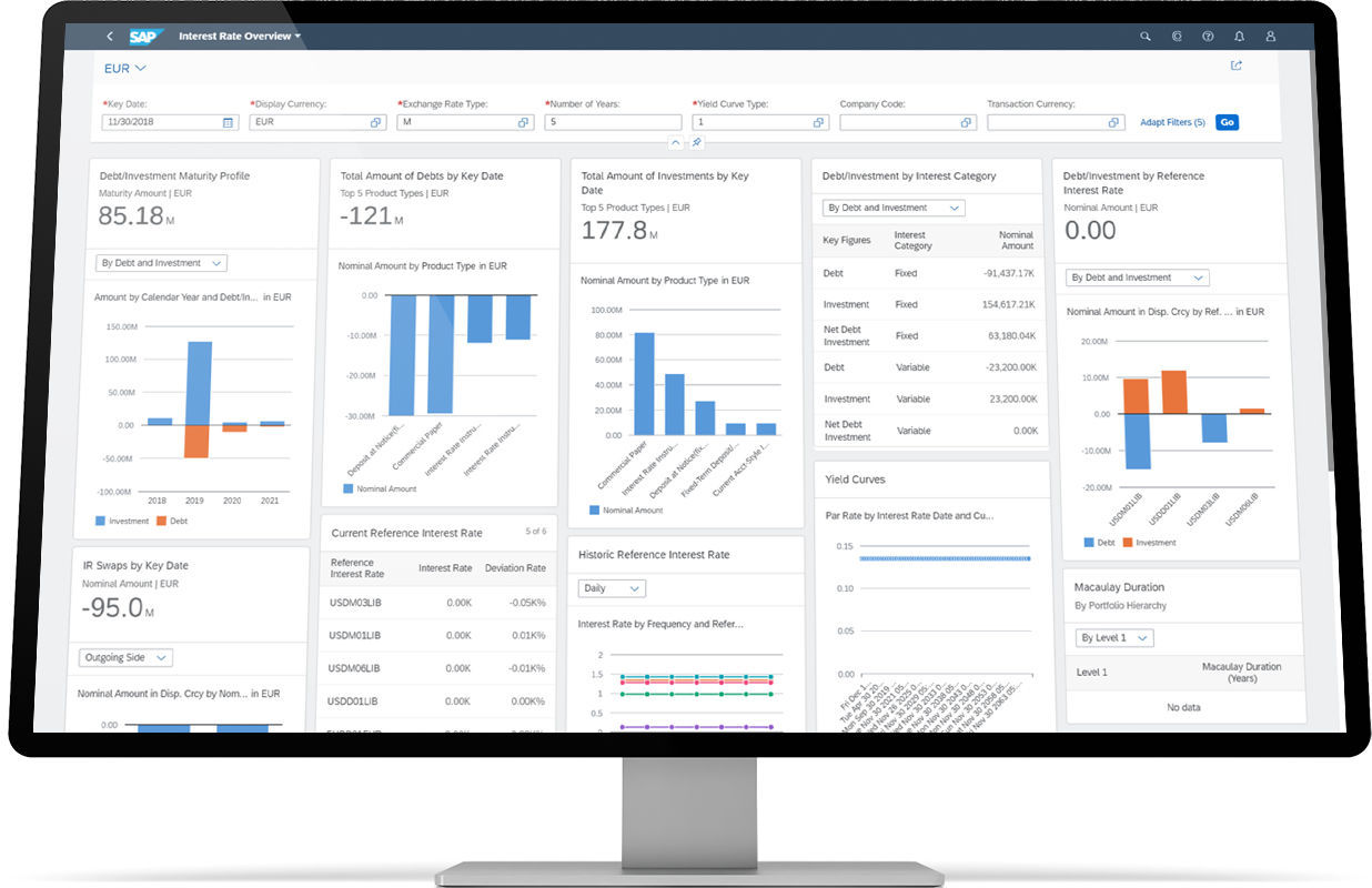 Financial management software - SAP - reporting / control / ERP