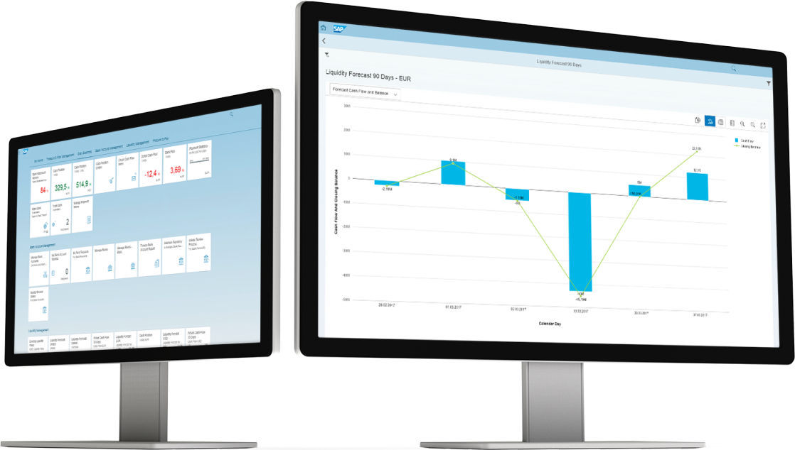 Financial management software - SAP - reporting / control / accounting