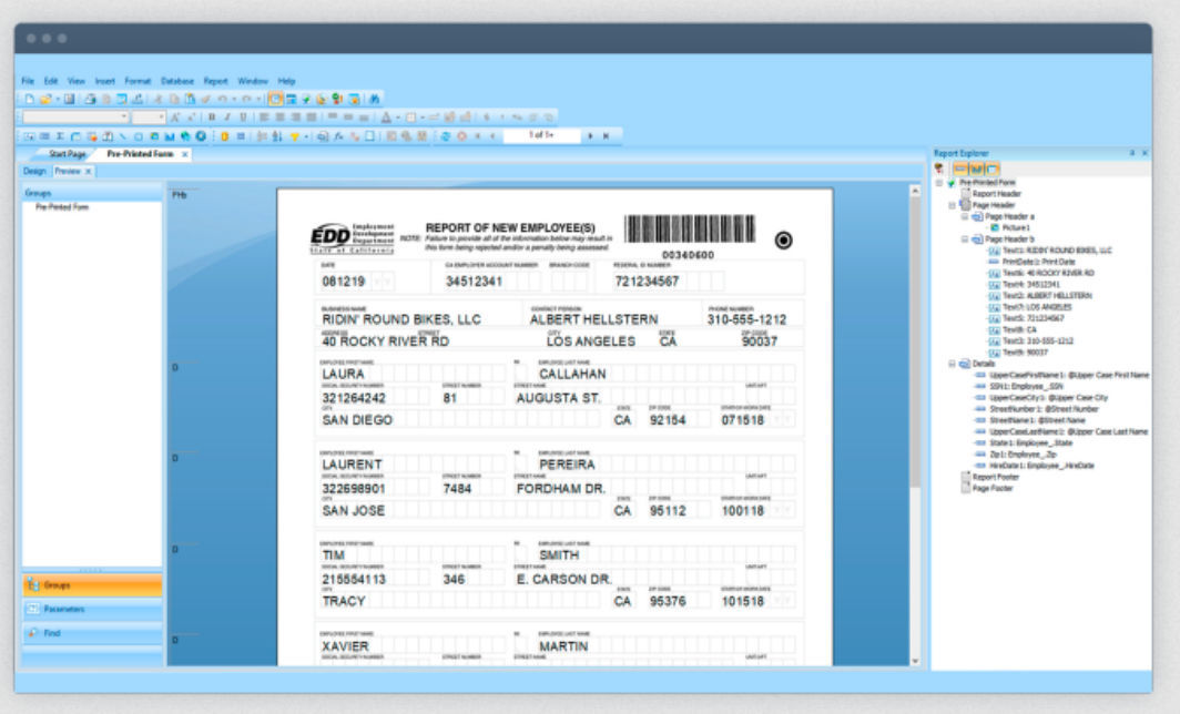 Programming software - Crystal Reports - SAP - viewer / control / reporting