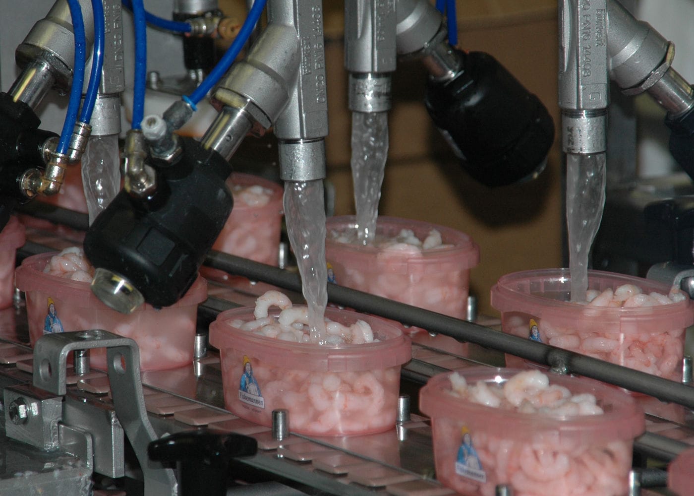 Cheese brine injector machine - Cabinplant A/S - shrimp