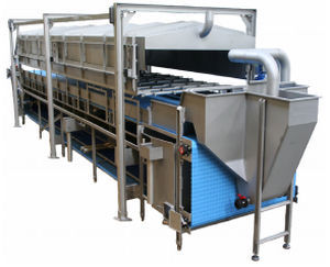 Vegetable blancher - IBC - Cabinplant A/S - for the food industry ...