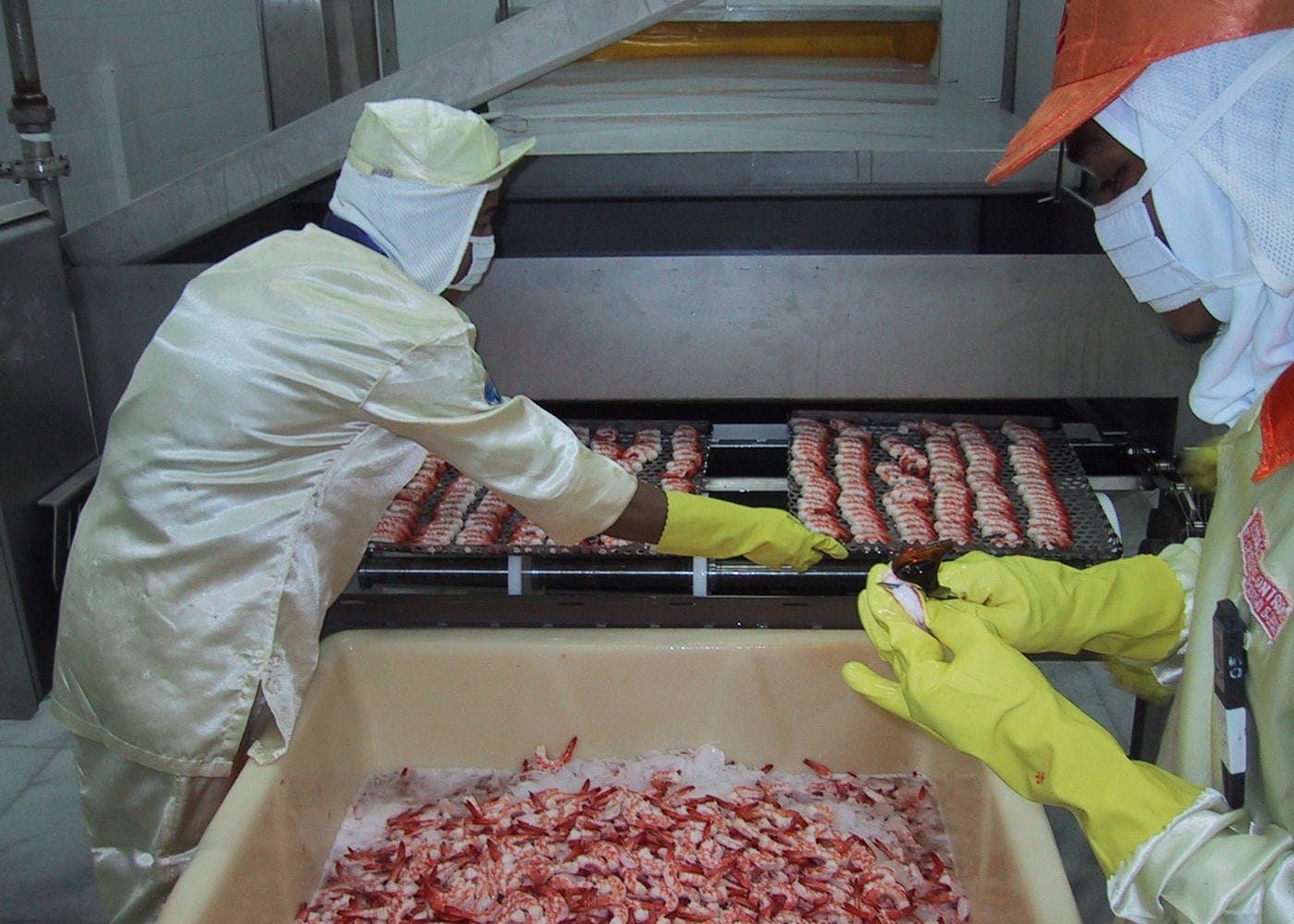 Shrimp processing line - Cabinplant A/S - inspection / chilling / weighing