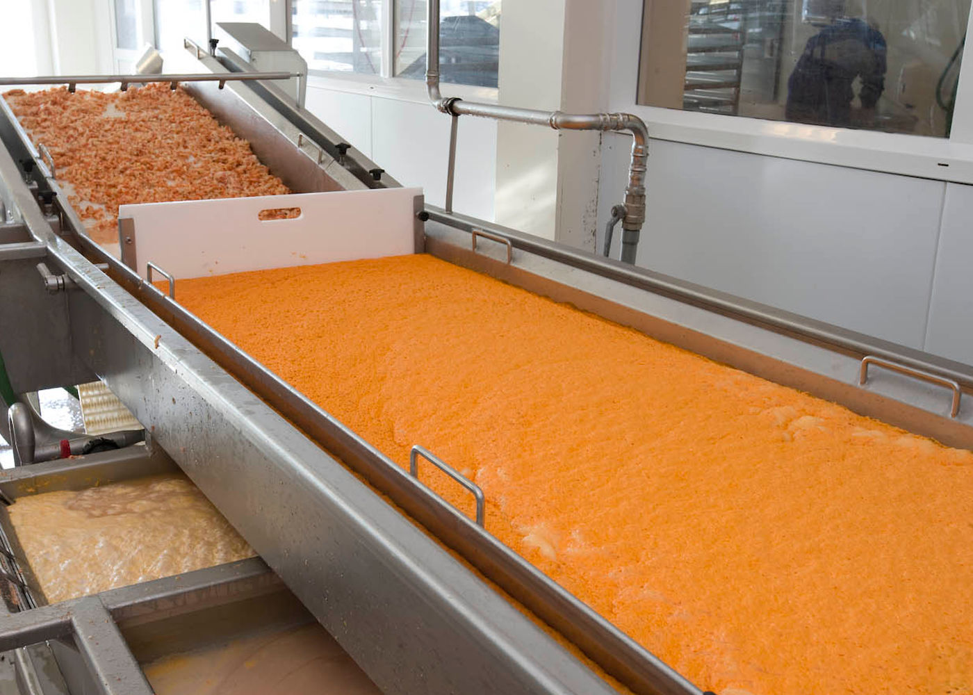 Shrimp processing line - Cabinplant A/S - inspection / chilling / weighing