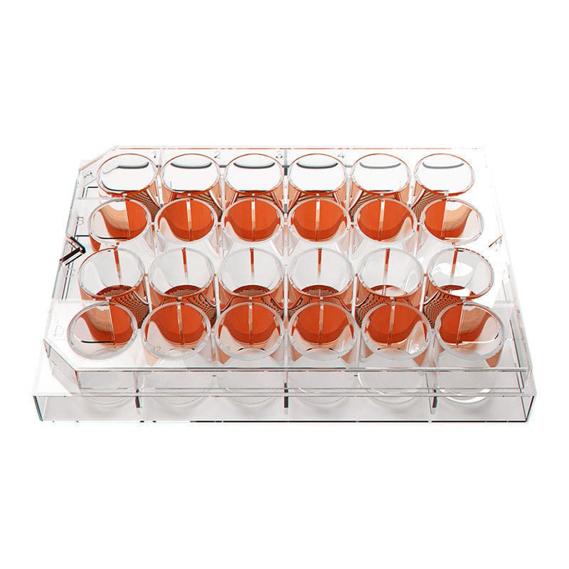 12-well microplate - SP5D - Heidolph Instruments GmbH & Co. KG - for ...