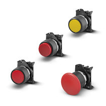 Flush-mount push-button switch - All industrial manufacturers
