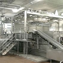 Cheese salting machine - All industrial manufacturers