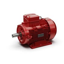 IP66 motor - All industrial manufacturers
