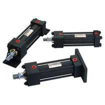 Double-rod cylinder - All industrial manufacturers