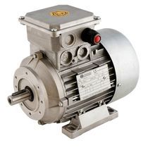 IP66 motor - All industrial manufacturers
