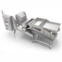 Laser sorter, Laser sorting machine - All industrial manufacturers