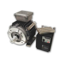 IP66 motor - All industrial manufacturers